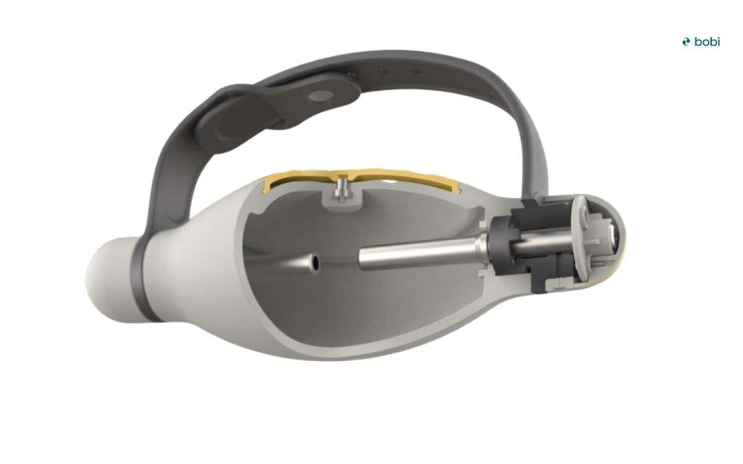 The history behind the making of bobi